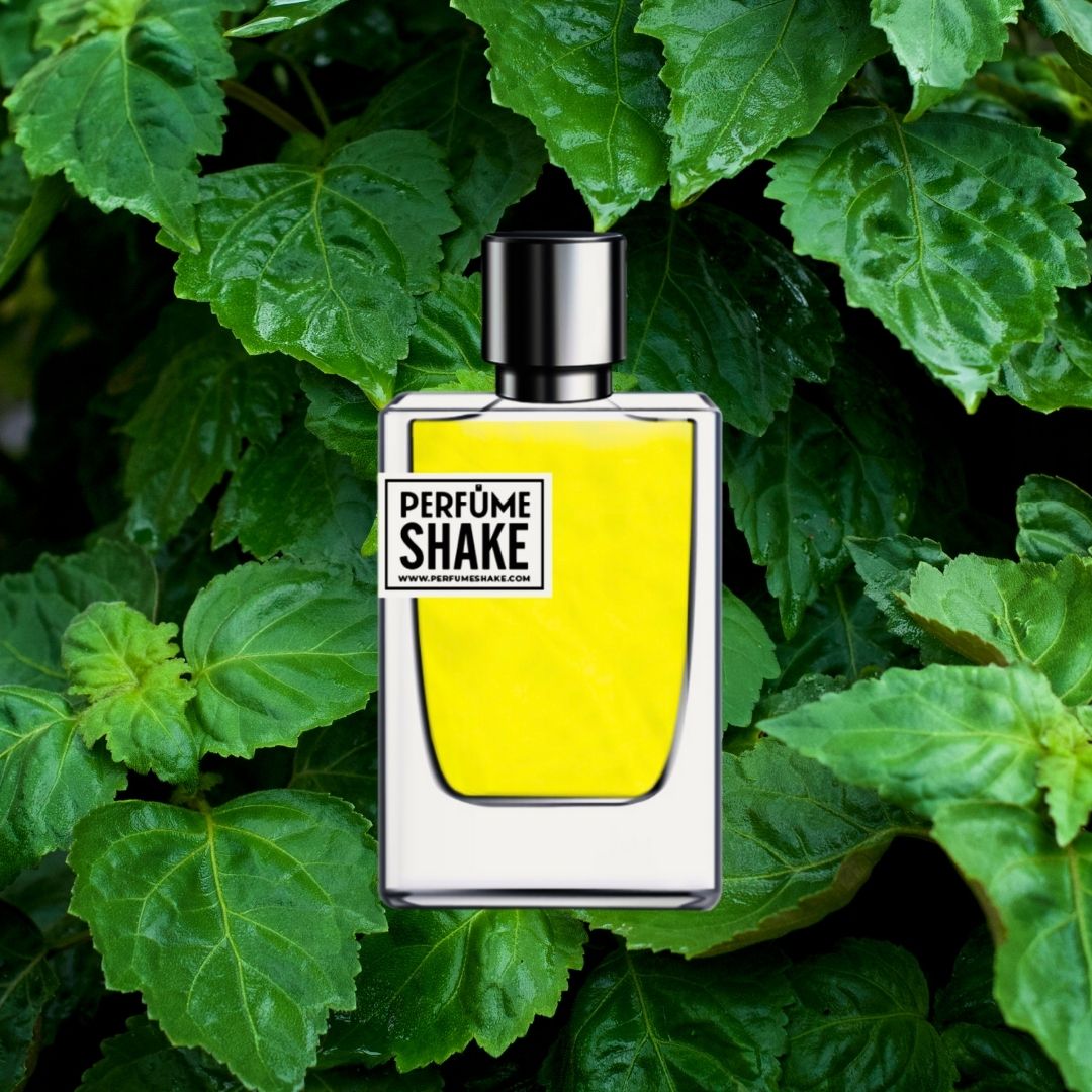 Shake 395 Inspired By Gyan by Bvlgari | Pefume Shake – Perfume Shake
