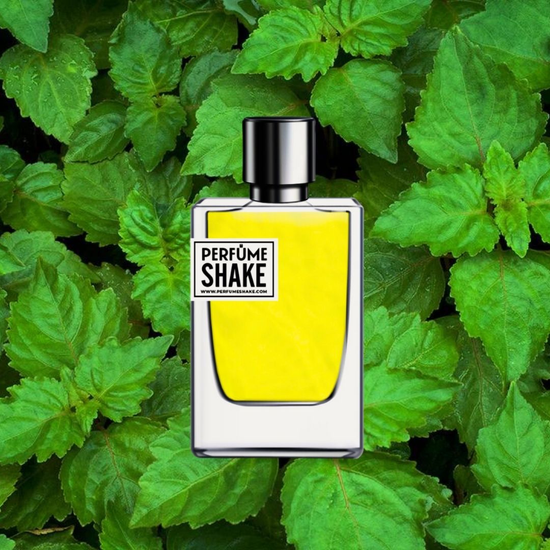 Shake 331 Inspired By Tuxedo YSL | Perfume Shake – perfumeshake.com